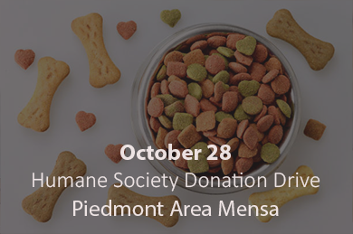 Mensa Cares Community Service Projects